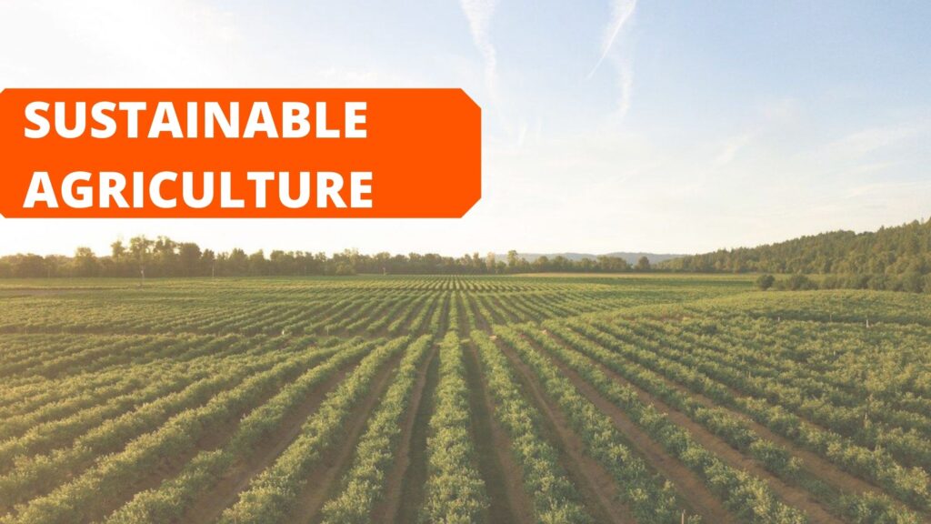 Sustainable Agriculture Development - S N Shirke Charitable Foundation